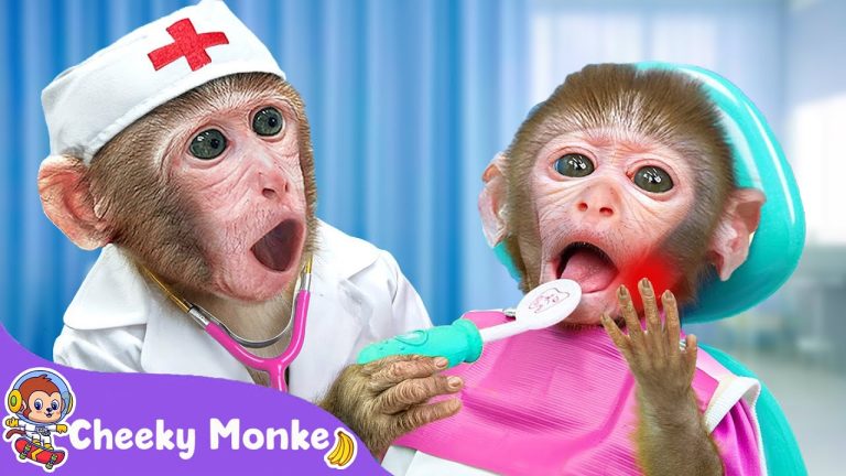 Cheeky Monkey - Youtube Kids