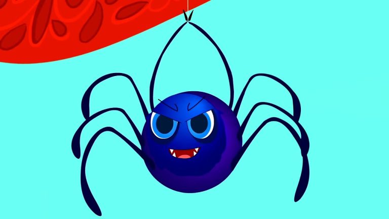 incy wincy spider - Youtube Kids