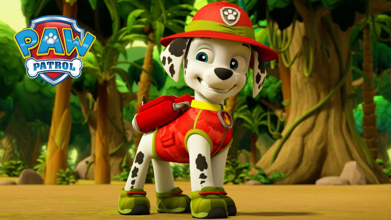 paw patrol full episode - Youtube Kids