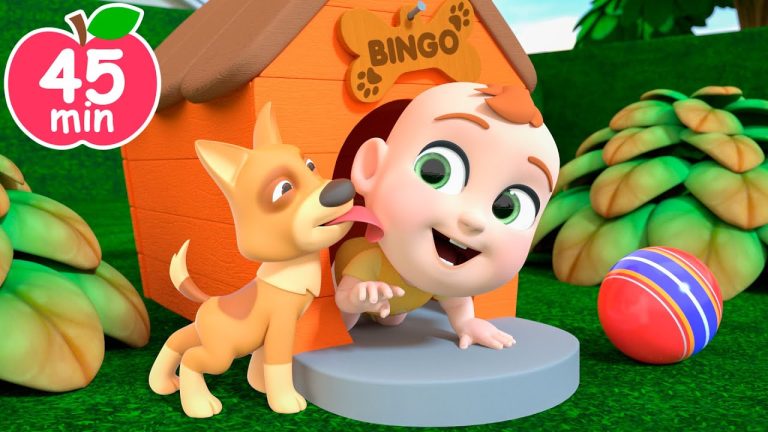 bingo dog - Youtube Kids