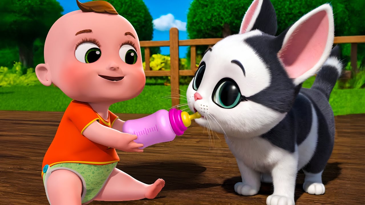 little kitten drinking milk song new compilation - Youtube Kids
