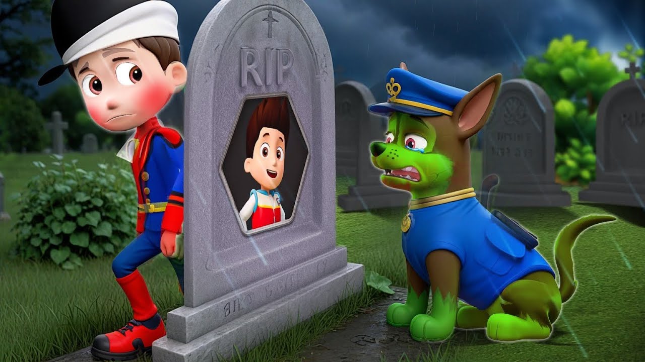 paw patrol animation cartoon - Youtube Kids