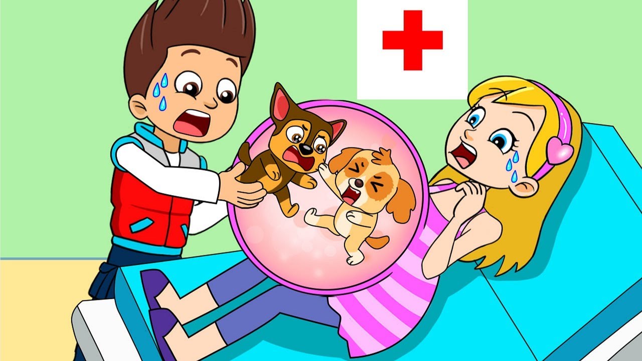 PAW Patrol Fire Rescue - Youtube Kids