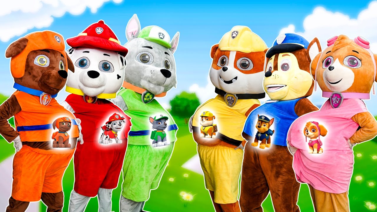 Paw Patrol Real Life - Youtube Kids