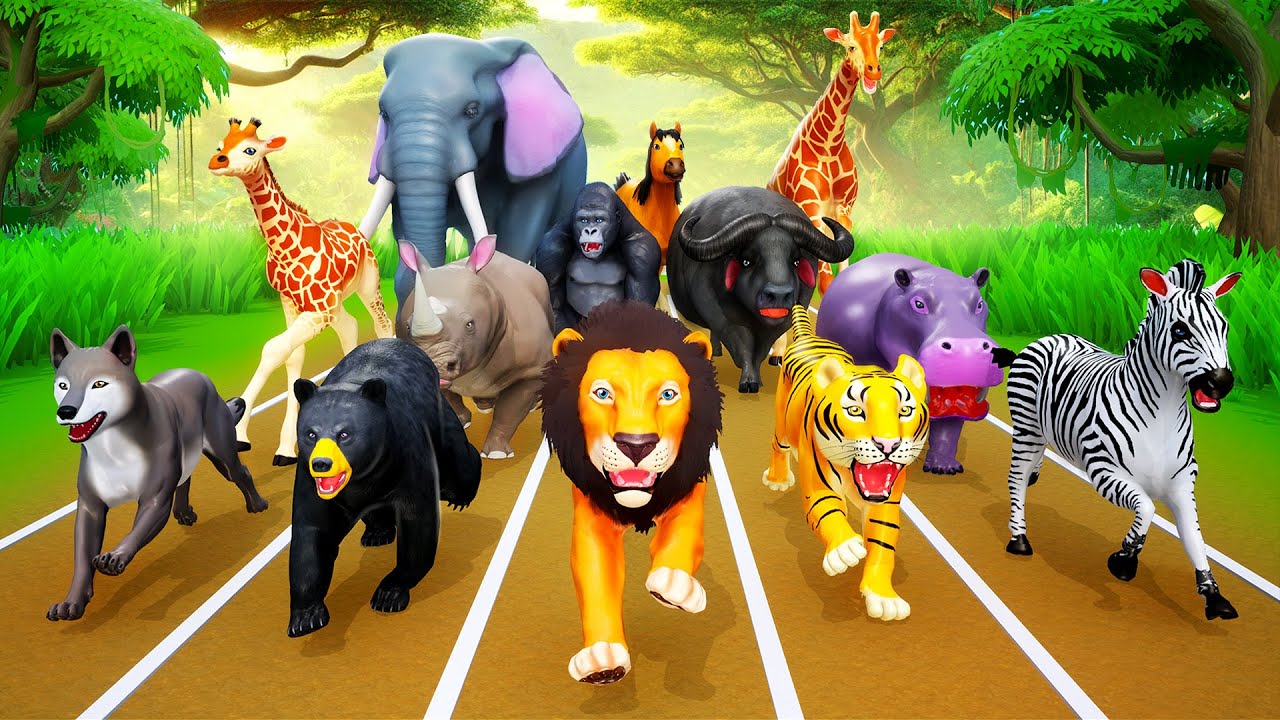 wild animals speed - Youtube Kids