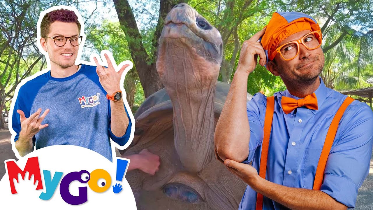 sign language videos - Youtube Kids