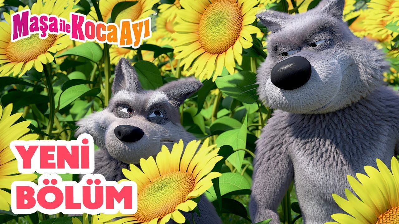 maşa ile koca ayi yeni bölüm - Youtube Kids