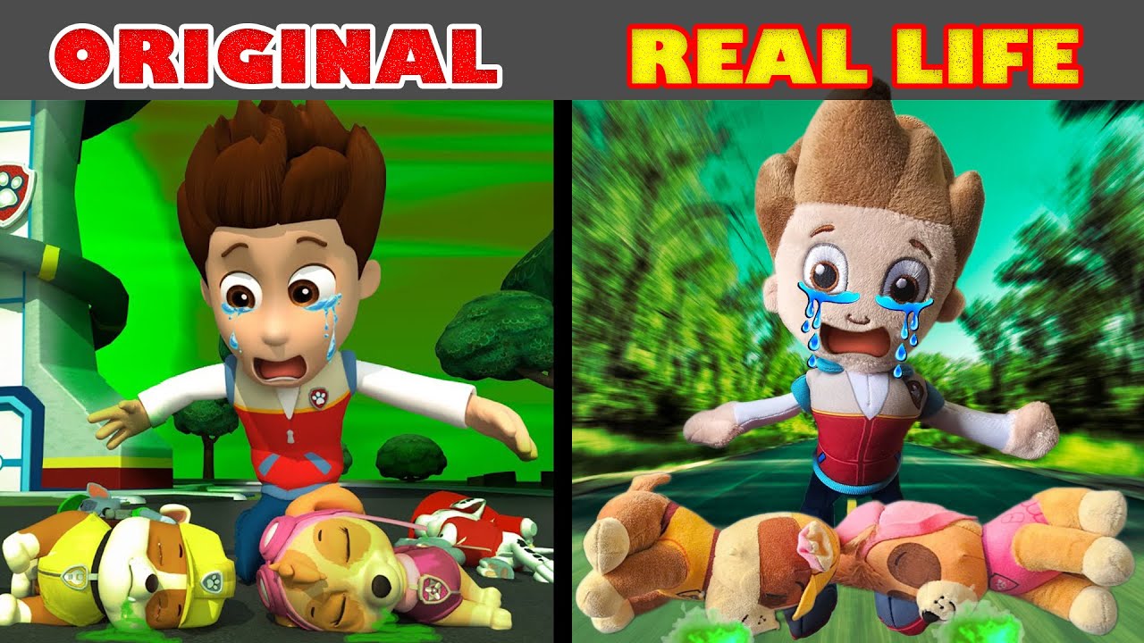 Paw Patrol Real Life - Youtube Kids