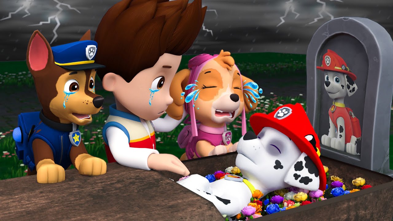 everest paw patrol - Youtube Kids