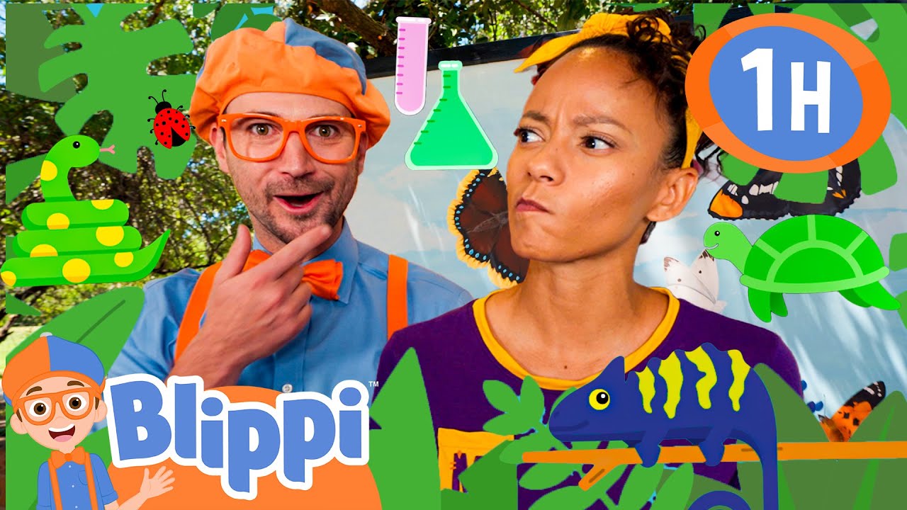 Visual art - Youtube Kids