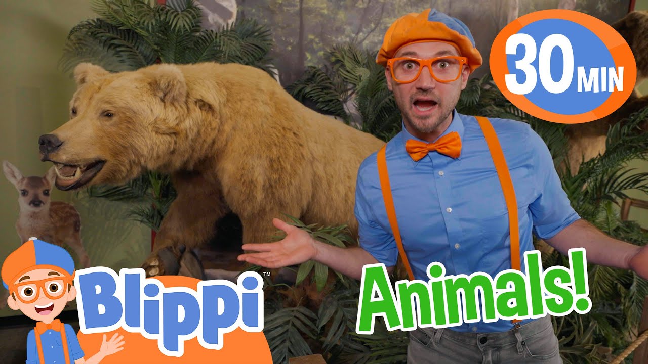 zoo animals - Youtube Kids