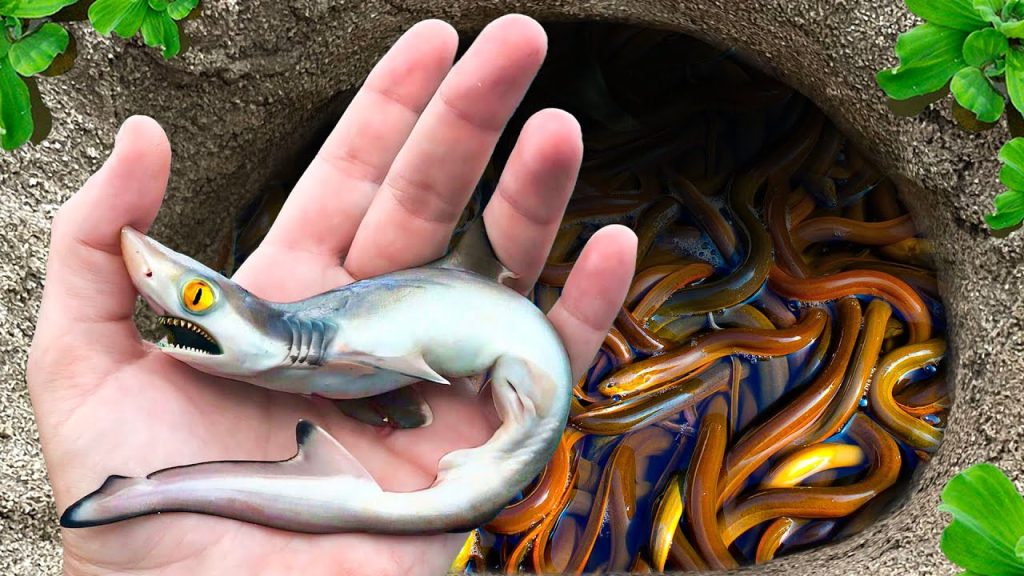 video fishing - Youtube Kids