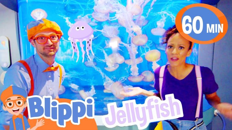 Blippi - Youtube Kids