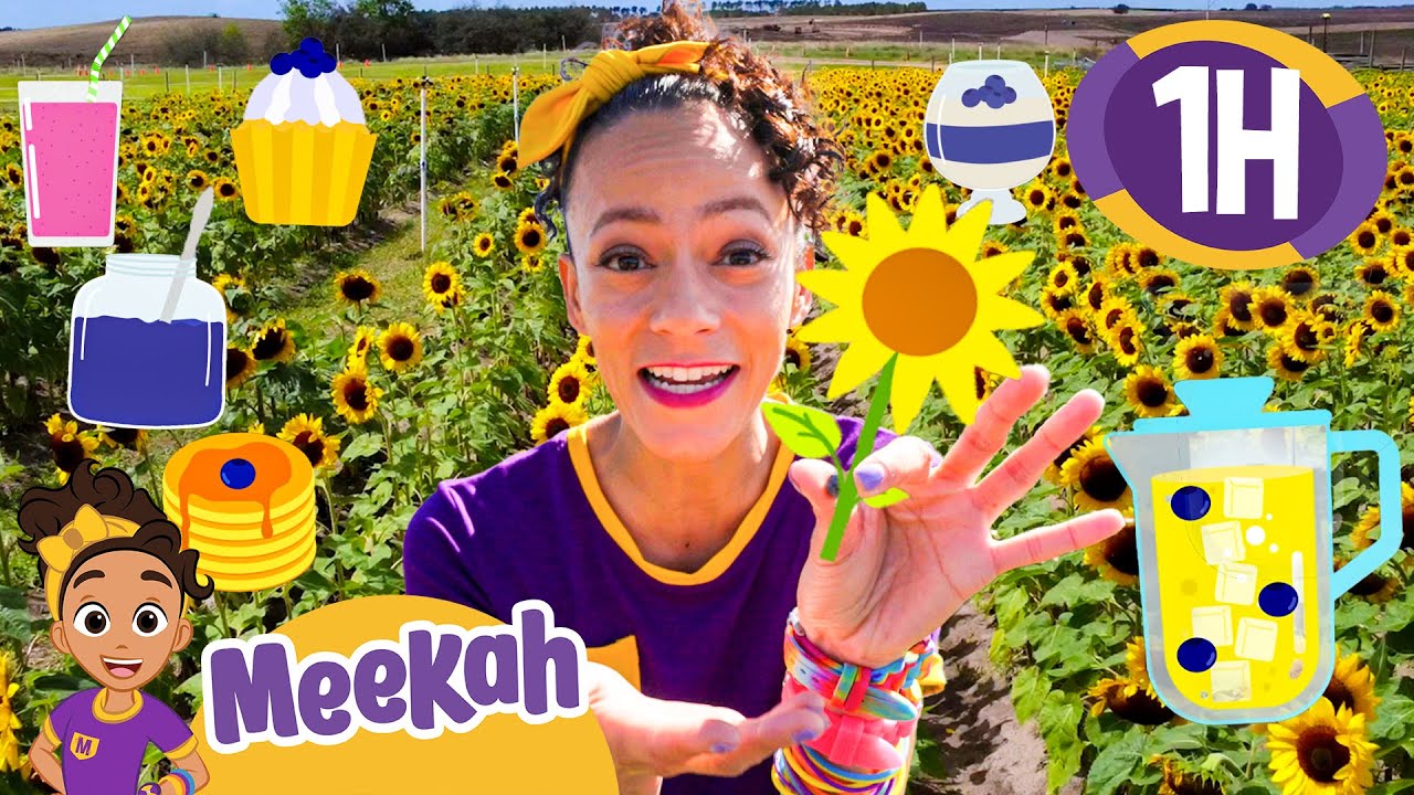 blippi and meekah - Youtube Kids