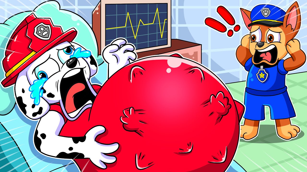 paw patrol episodes - Youtube Kids