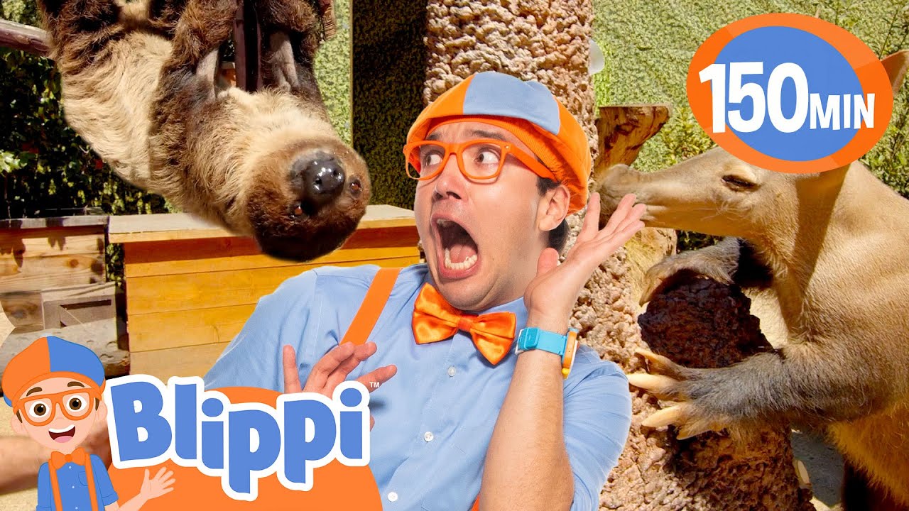 sloth - Youtube Kids