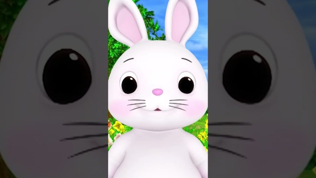 bunny song - Youtube Kids