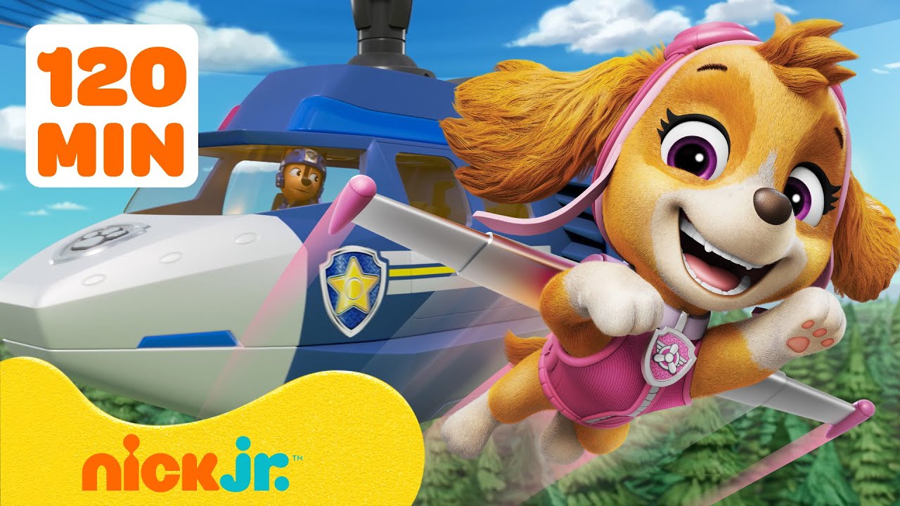 Paw Patrol Spanish Kids