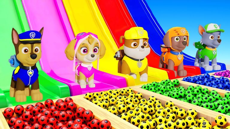 PAW Patrol Ultimate Rescue Missions | Animal Long Slide Game Funny ...