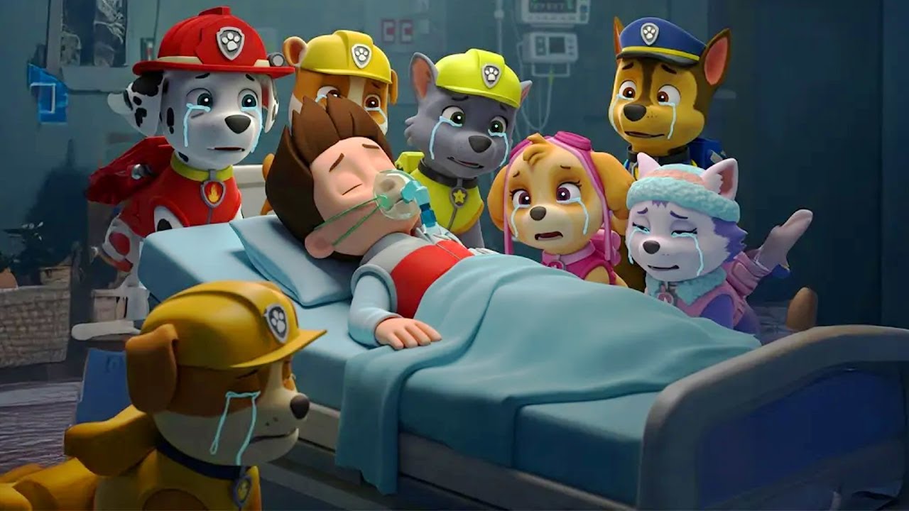 paw patrol episodes - Youtube Kids