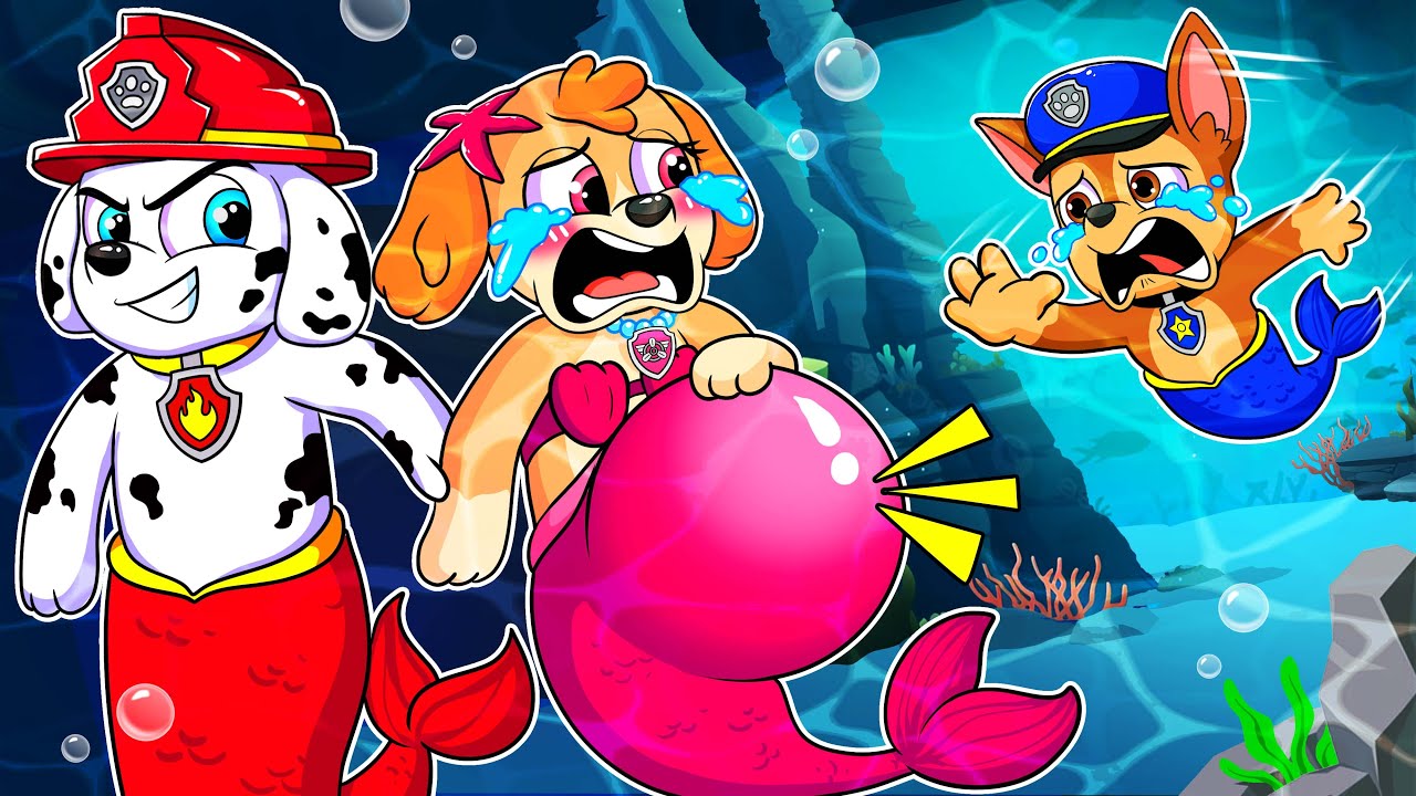 paw patrol episodes - Youtube Kids