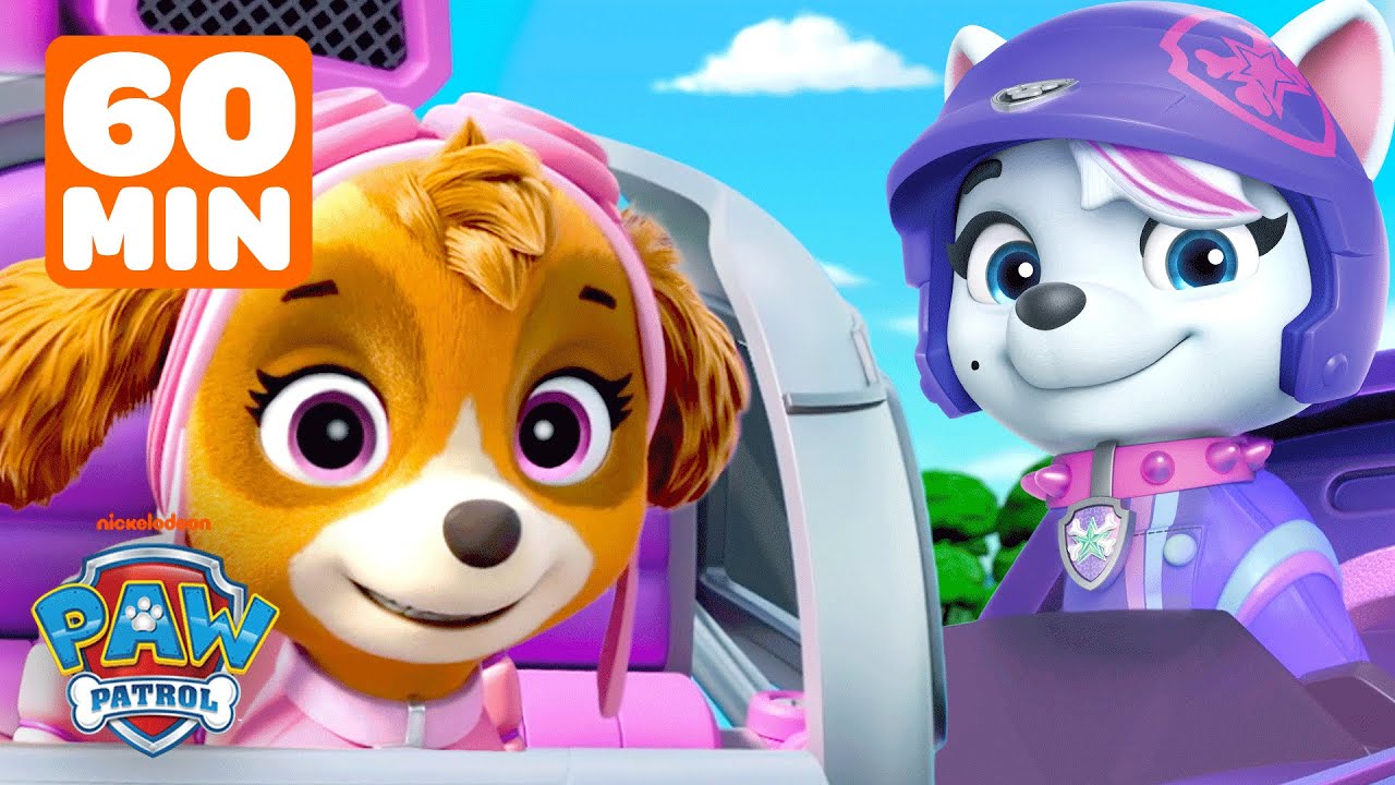 paw patrol skye - Youtube Kids