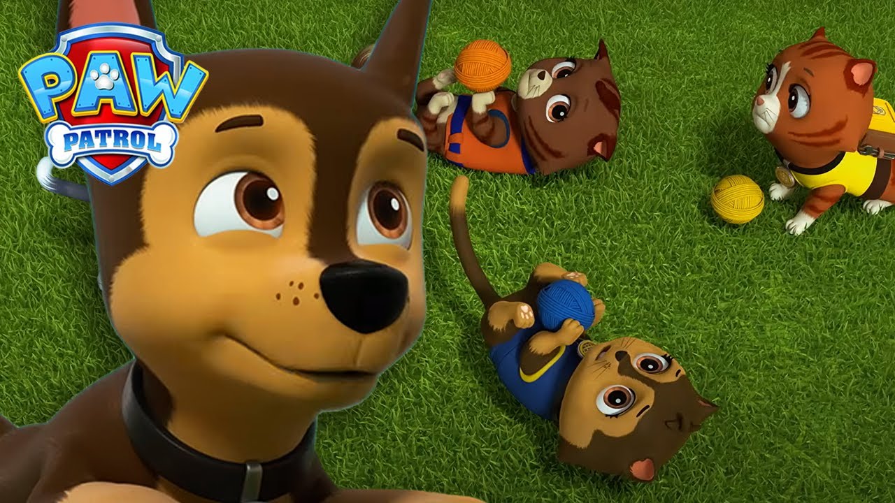 pow paw patrol en español - Youtube Kids