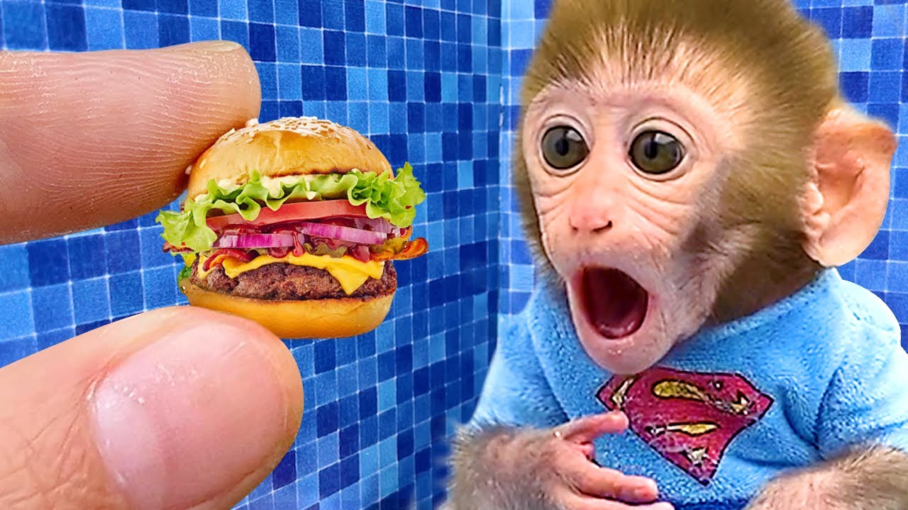 Monkey Baby Bon Bon - Youtube Kids