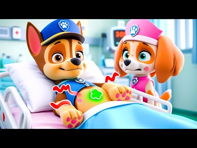 paw patrol spider man - Youtube Kids