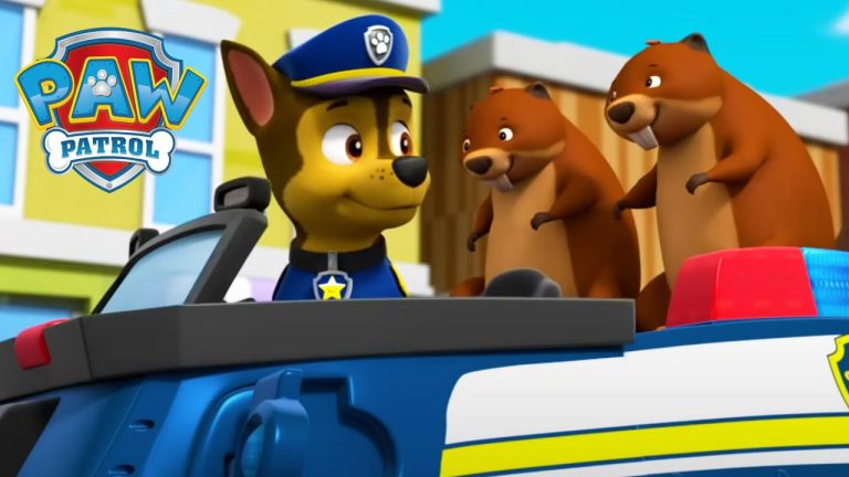 paw patrol full episode - Youtube Kids