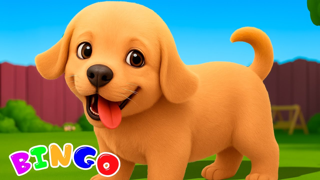 bingo song - Youtube Kids