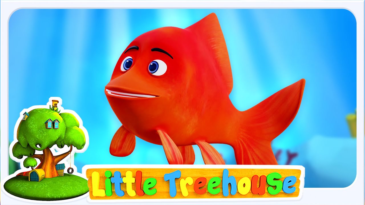 machli jal ki rani hai - Youtube Kids