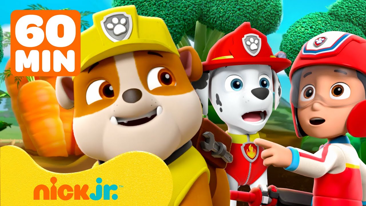 paw patrol español - Youtube Kids