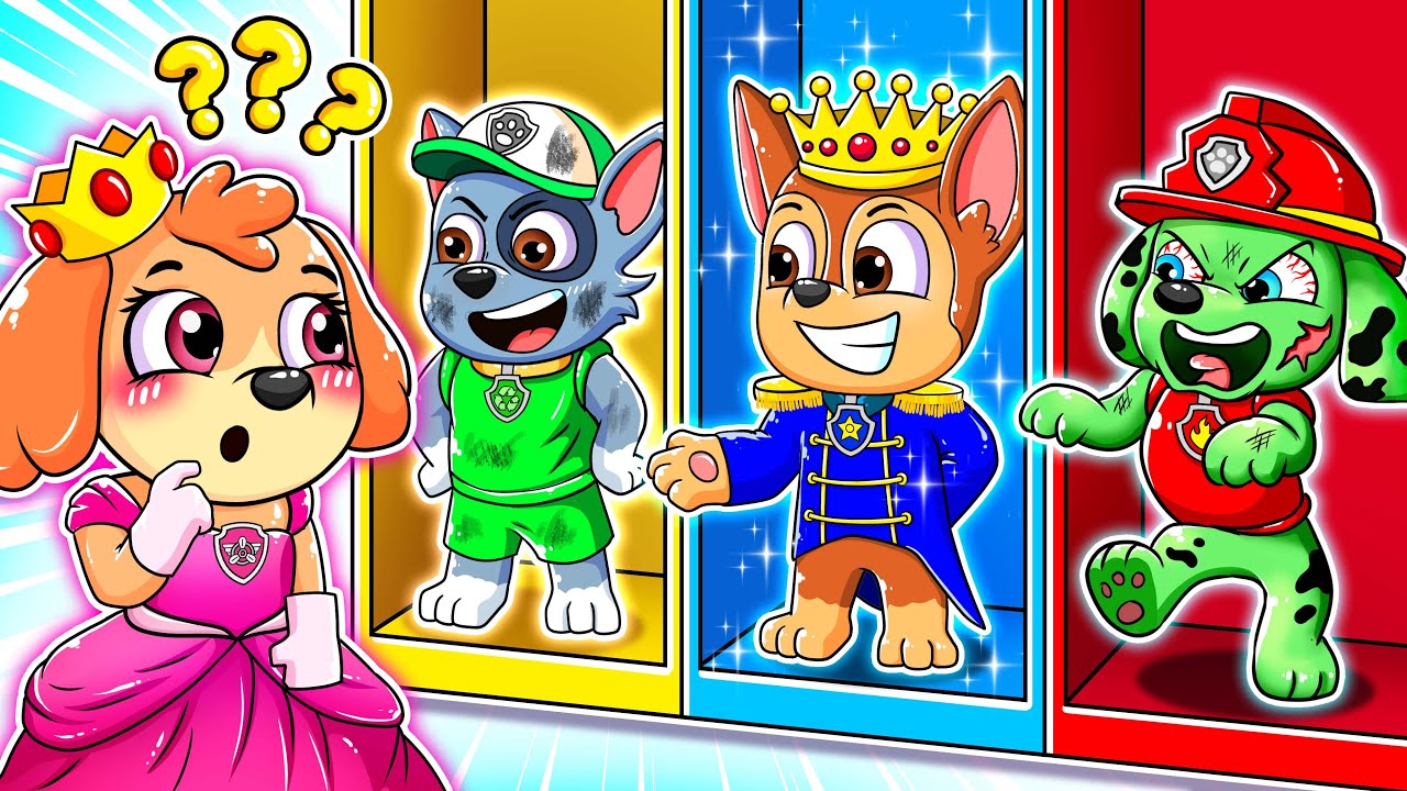 paw patrol episodes - Youtube Kids