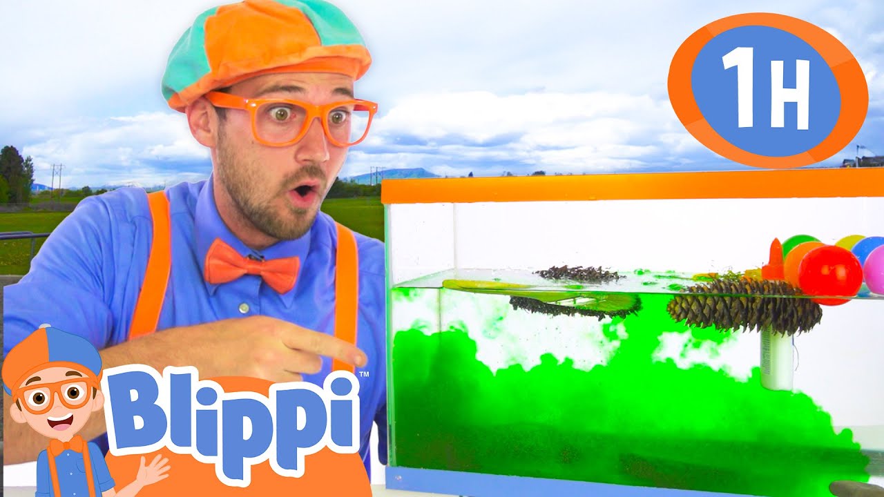 blippi full episodes - Youtube Kids