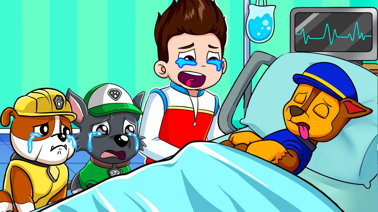 paw patrol cartoon - Youtube Kids