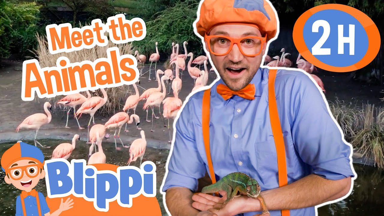 panda - Youtube Kids