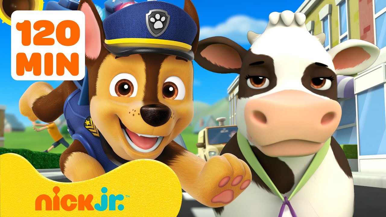 Animal rescues - Youtube Kids