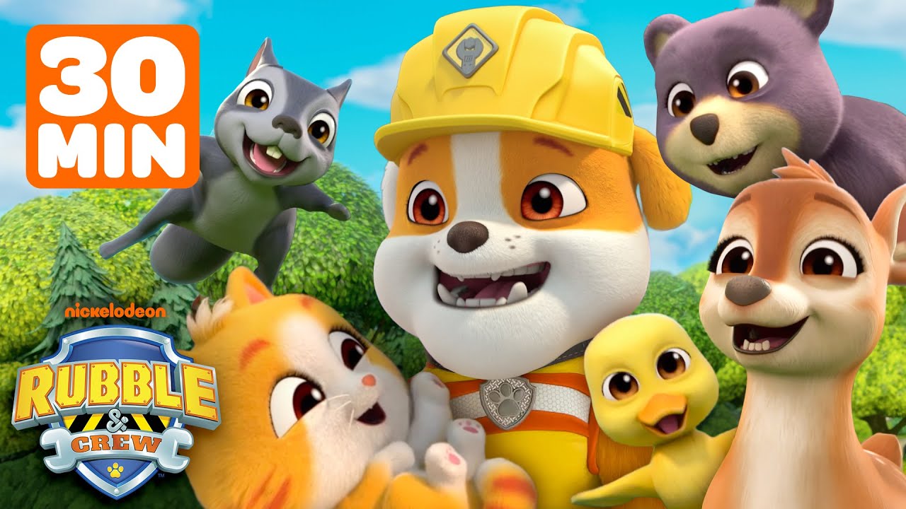 baby animals for kids - Youtube Kids