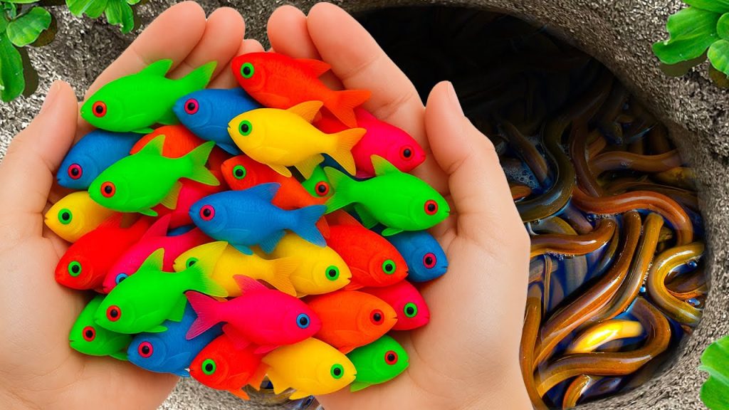 fishing - Youtube Kids