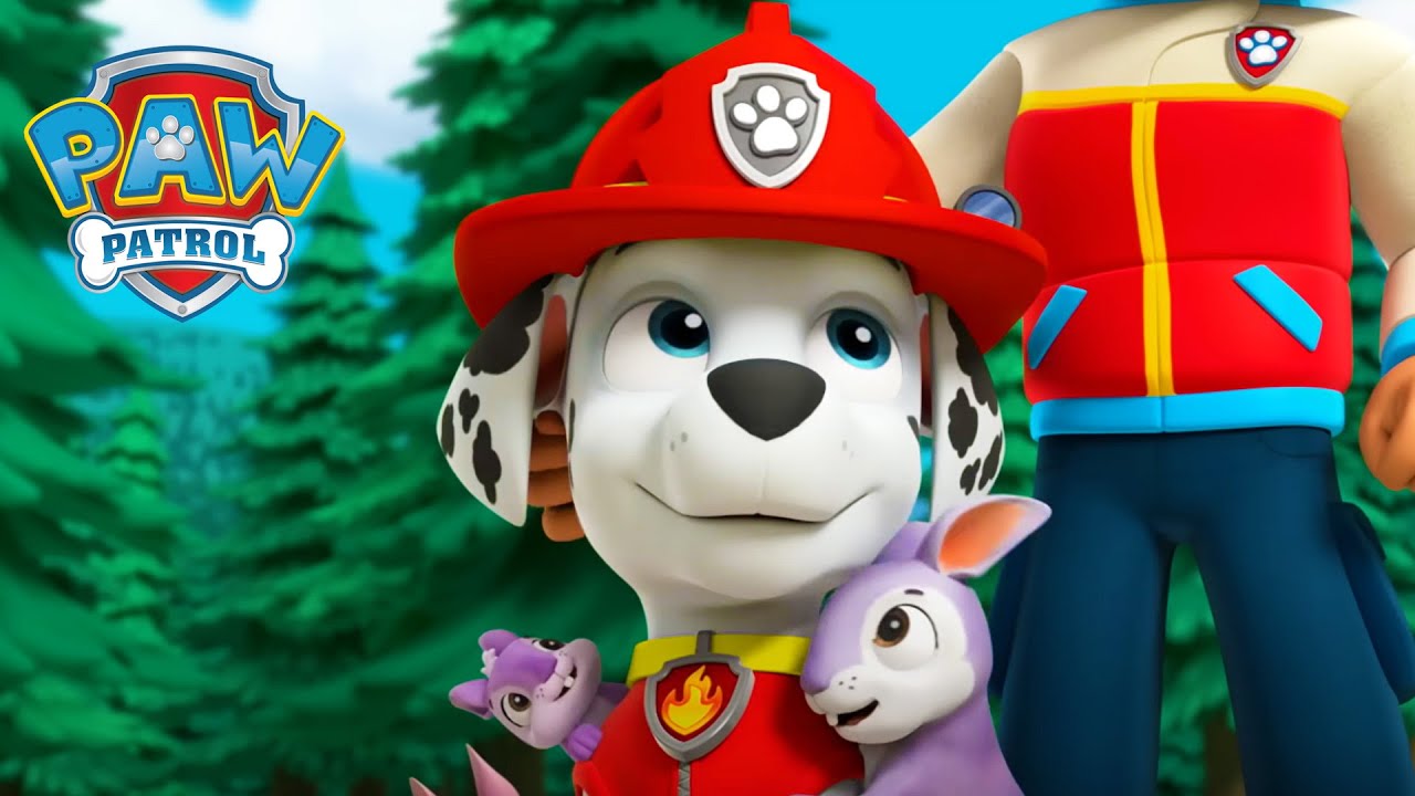 paw patrol super powers - Youtube Kids