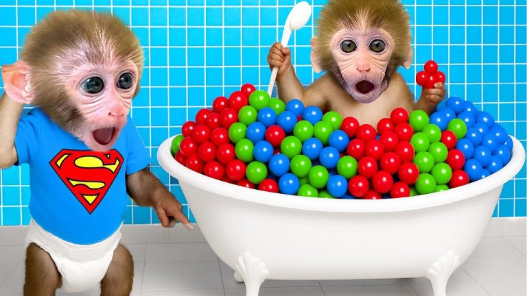 baby monkey - Youtube Kids