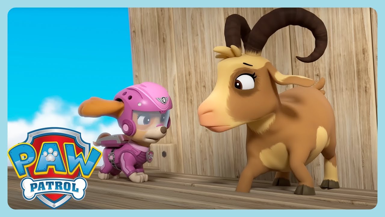 paw patrol - Youtube Kids