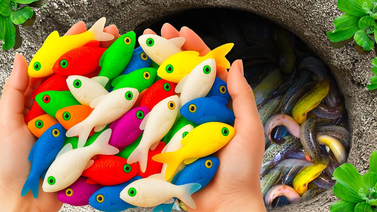 fishing - Youtube Kids