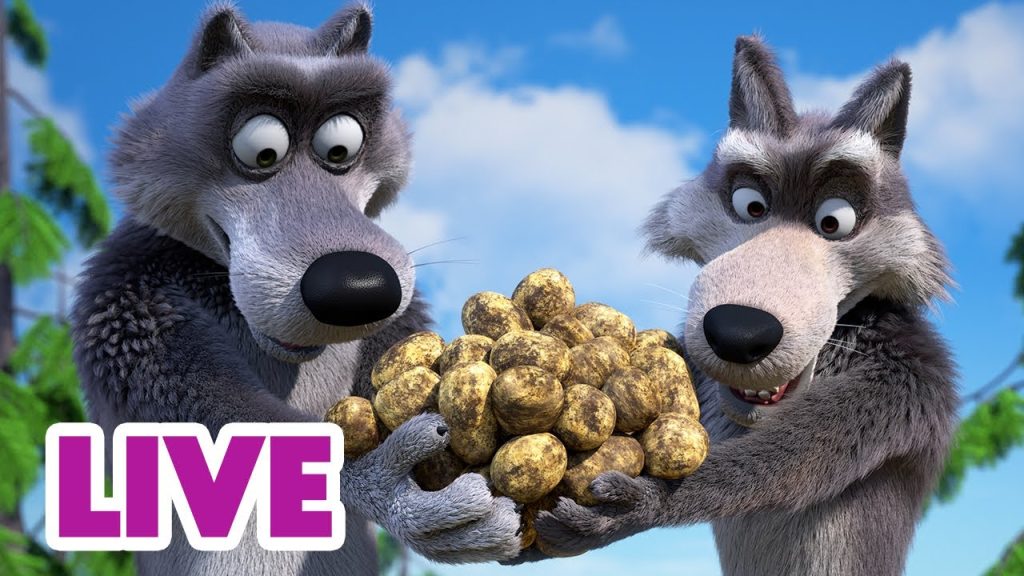 Beruang - Youtube Kids