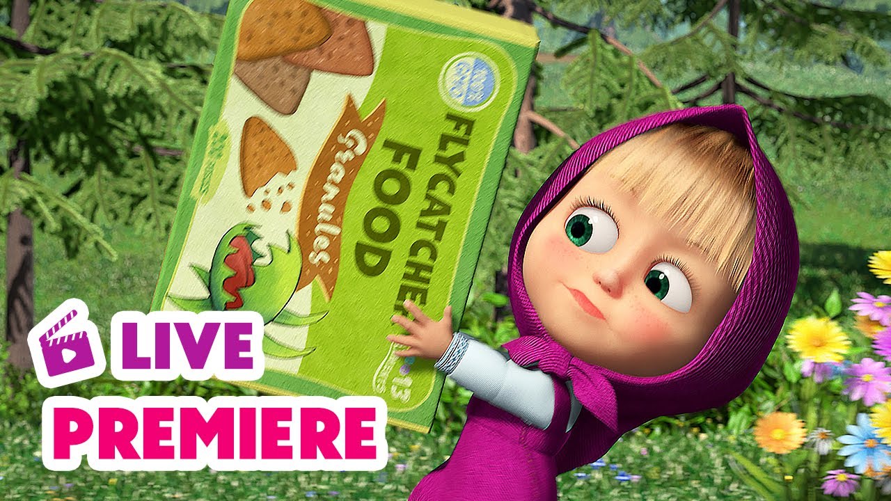 masha and the beer - Youtube Kids