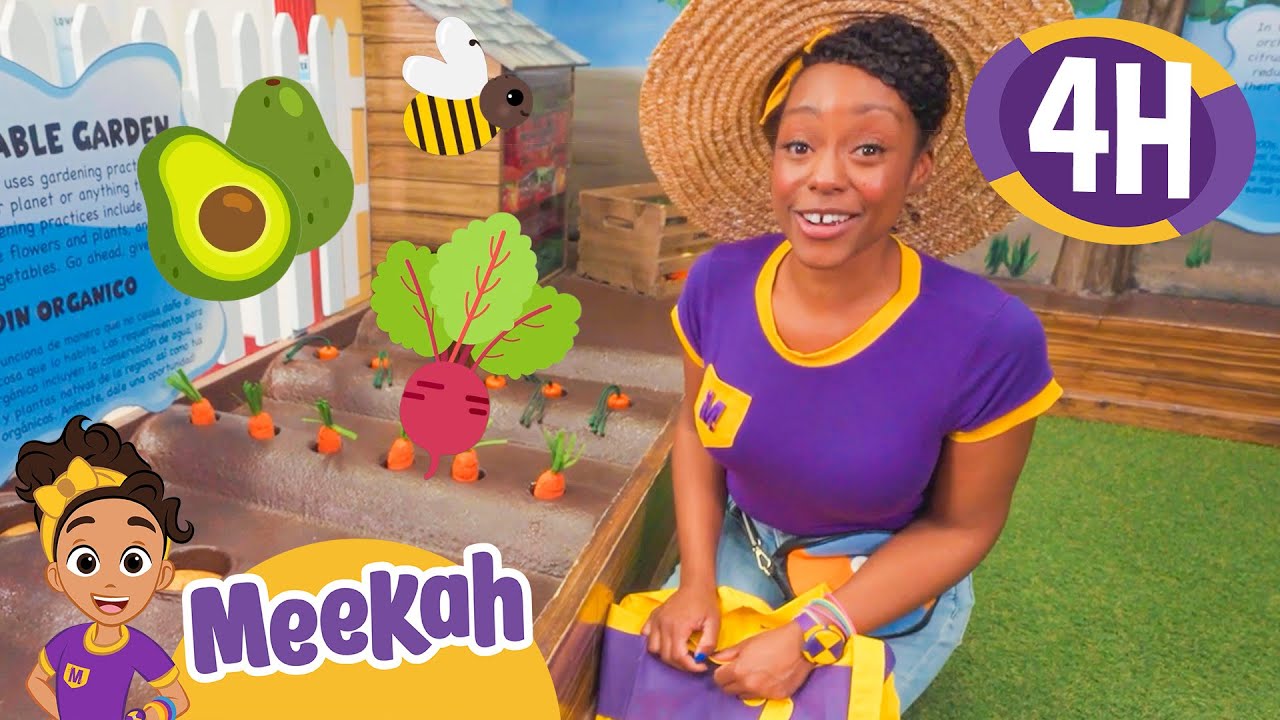 blippi and meekah - Youtube Kids