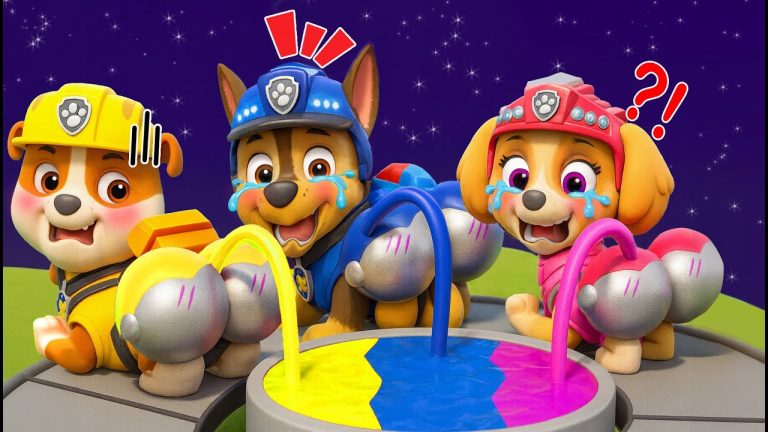 The Paw Patrol Lost Their Colors! - Youtube Kids