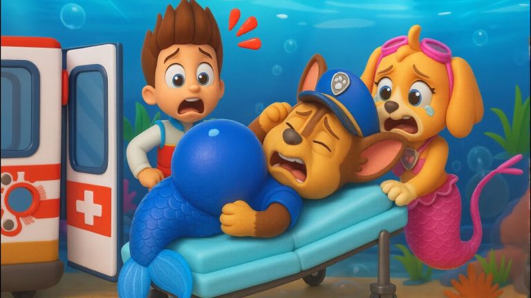 What Happened... Chase Mermaid Pregnant - Youtube Kids