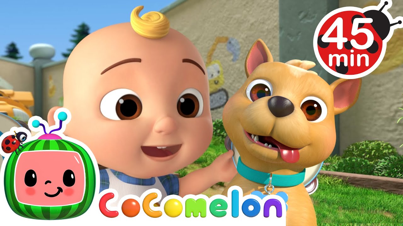 Cocomelon animals - Youtube Kids